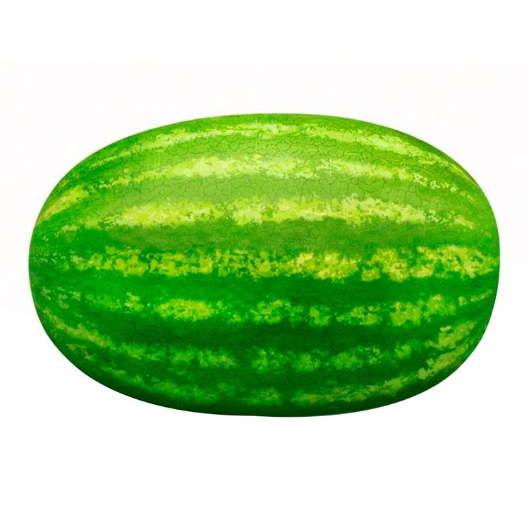 Patilla Común x 4kg - Tiendas Metro Colombia