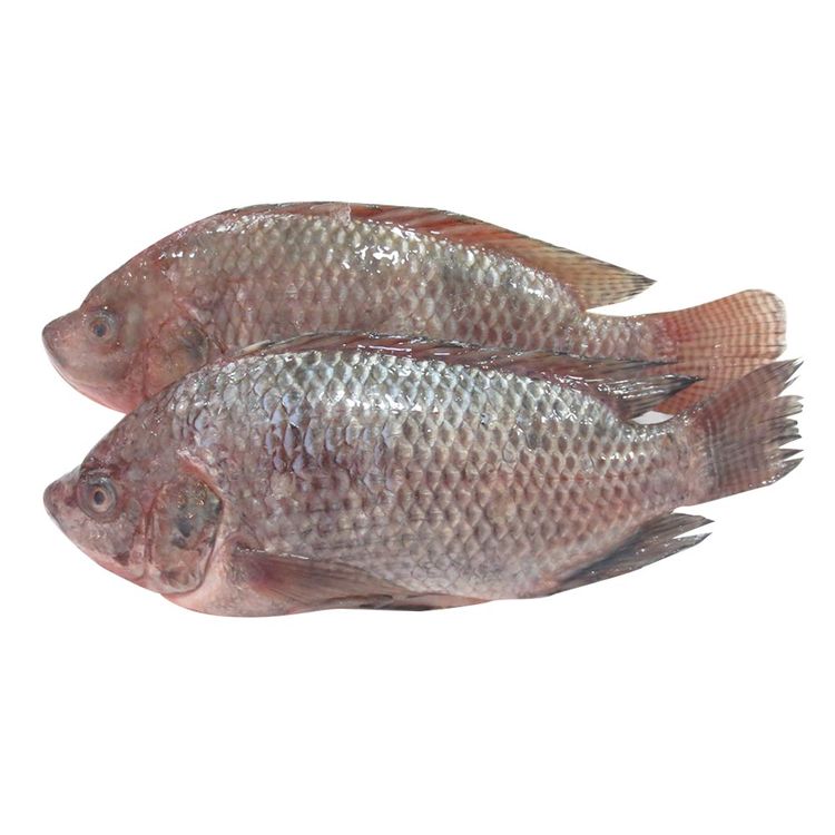 Mojarra Plateada X 500 g - Tiendas Metro Colombia