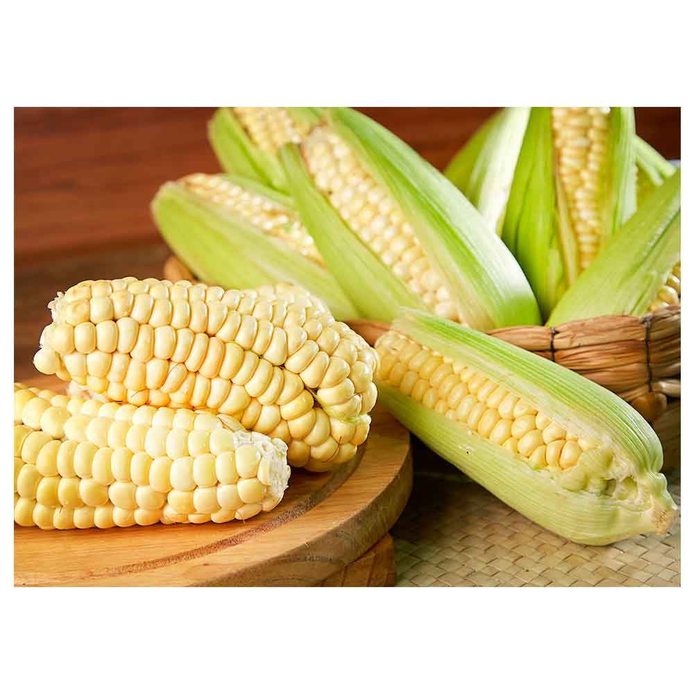 Mazorca x 500 g - Tiendas Metro Colombia