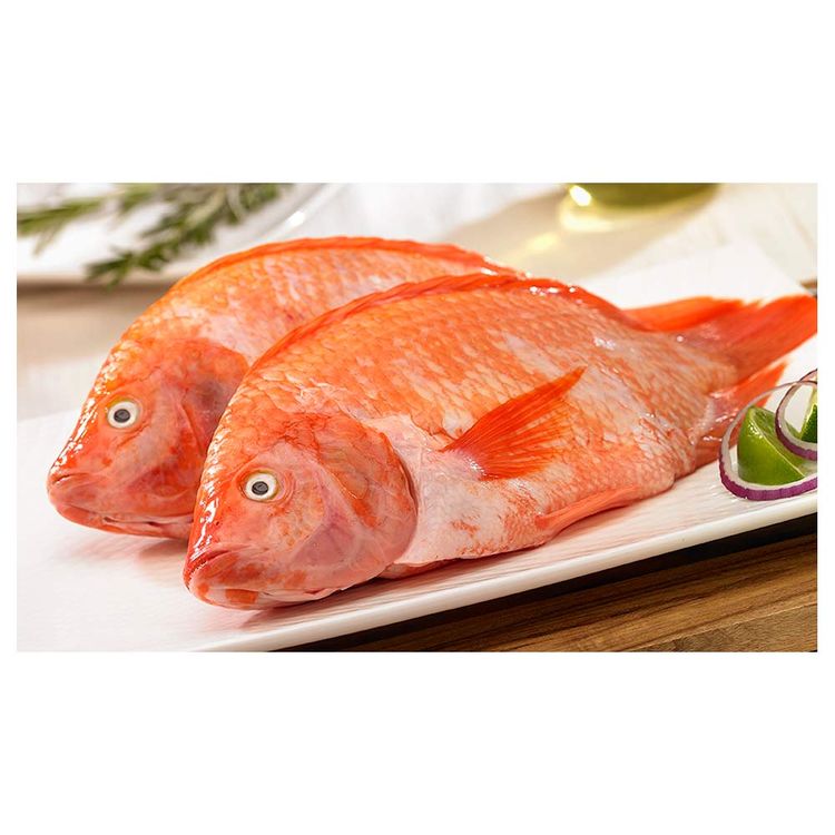 Mojarra Roja Congelada X 500 g-tiendasmetro.co - Tiendas Metro Colombia